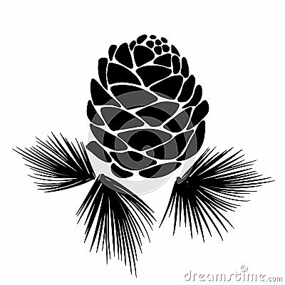 Vector Drawing Of A Cedar Cone | CartoonDealer.com #231702701