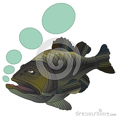Vector Fish Black Bass | CartoonDealer.com #84212380