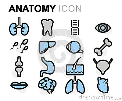 Vector Flat Line Anatomy Icons Set Stock Photo | CartoonDealer.com ...