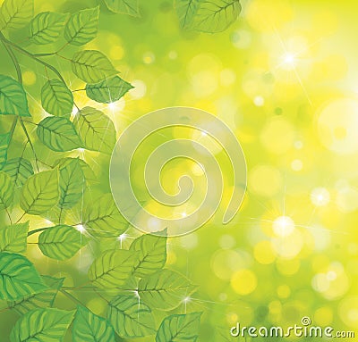 Vector Green Leaves On Sunshine Background. | CartoonDealer.com #36702072