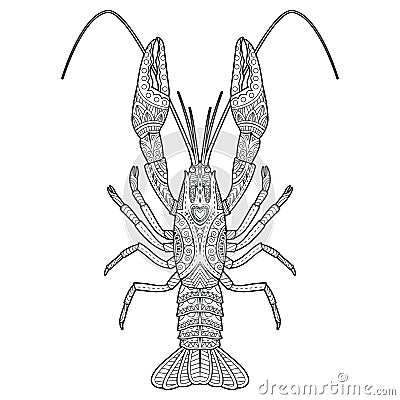Vector Hand Drawn Zentangle Crawfish Drawing For Coloring Book ...