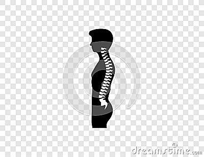 Human Spine, Anatomy, Backbone Icon. Vector Illustration ...
