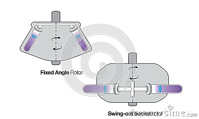 Illustration Of Types Of Centrifuge Rotors On White Background ...