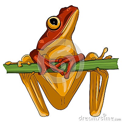 Coqui Frog Stock Illustrations – 13 Coqui Frog Stock Illustrations ...