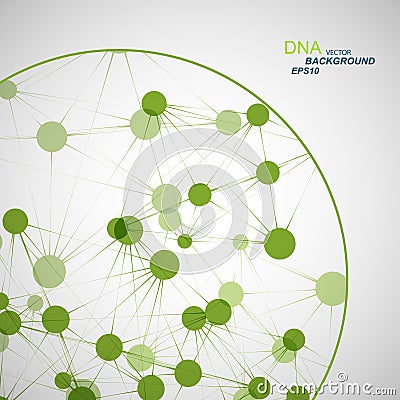 Vector Network Connection and DNA Eps10 Stock Vector - Illustration of ...