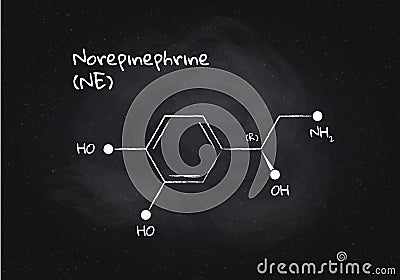 Vector Norepinephrine Structure Banner Illustration. Hormone Associated ...