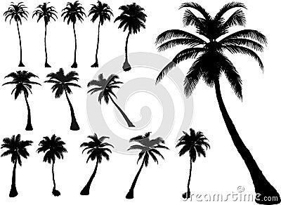 Vector Palms And Trees Royalty Free Stock Photos - Image: 6528478