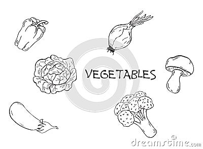 Vegetables Hand Drawn In Doodling Style Isolated Vector Image ...