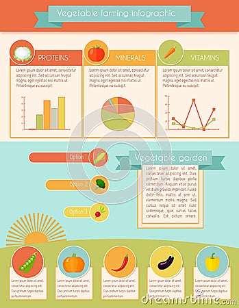 Vegetables Infographic Set Stock Illustration | CartoonDealer.com #47723608