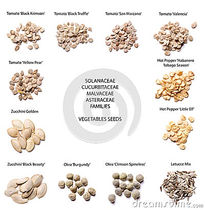 Vegetables Seeds- Different Varieties Stock Photo - Image: 35337730