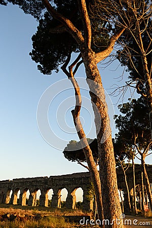 Vegetation In Rome Royalty-Free Stock Photo | CartoonDealer.com #120890667