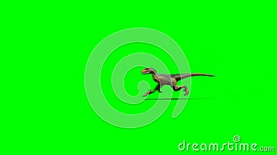Velociraptor Attacking on Green Screen Stock Video - Video of dino ...