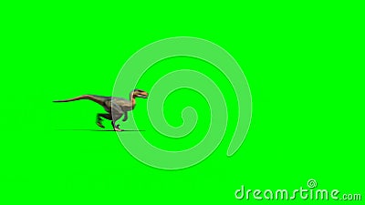 Velociraptor Attacking on Green Screen Stock Footage - Video of ...