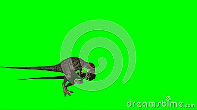 Velociraptor Attacking on Green Screen Stock Footage - Video of park ...