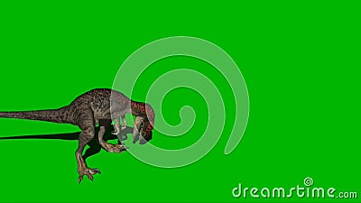 Velociraptor Attacking on Green Screen Stock Footage - Video of dino ...