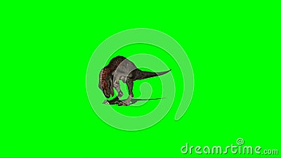 Velociraptor Attacking on Green Screen Stock Footage - Video of wild ...