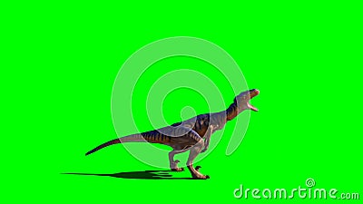 Velociraptor Roaring on Green Screen Stock Video - Video of chroma ...