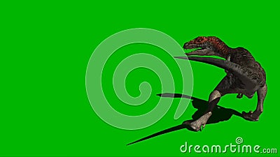 Velociraptor Roaring on Green Screen Stock Video - Video of nature ...