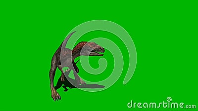 Velociraptor Roaring on Green Screen Stock Video - Video of animation ...