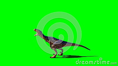 Velociraptor Roaring on Green Screen Stock Footage - Video of carnivore ...