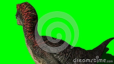 Velociraptor Roaring on Green Screen Stock Video - Video of wildlife ...