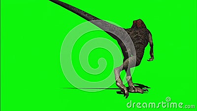 Velociraptor Roaring on Green Screen Stock Footage - Video of ...