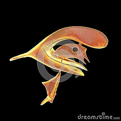 Ventricular System Of Brain, 3D Illustration Royalty-Free Cartoon ...