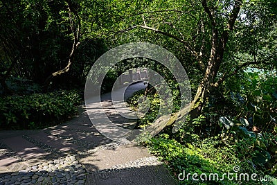 Verdant Cobble-and-flagstone Path In Warm Afternoon Sunlight Royalty ...