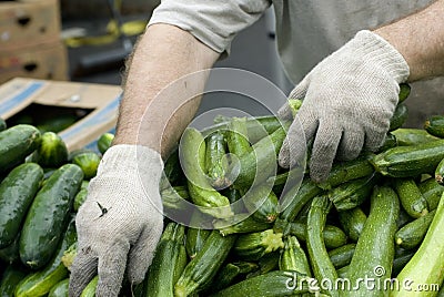 A Veritable Vegetable Pyramid Royalty-Free Stock Photography ...