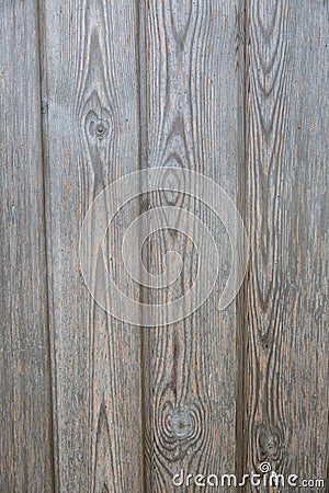 Vertical Wood Texture Background Surface With Natural Pattern Royalty ...