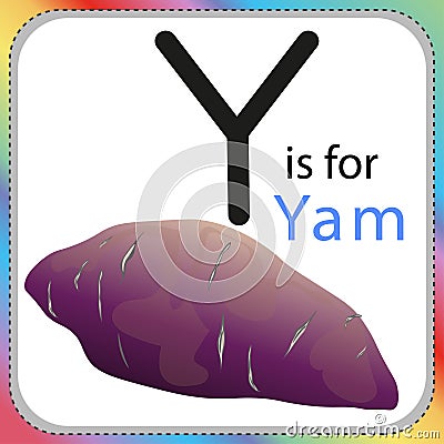 Alphabet Flashcards For Kids - Learning Y Is For Yam Royalty-Free Stock ...