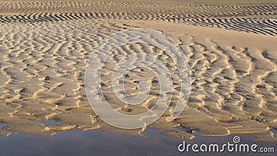 Video Ridges and Furrows on the Beach. Wet Sand at the Beach Showing ...