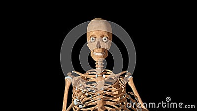 Talking skeleton stock footage. Video of graphics, falling - 194507932