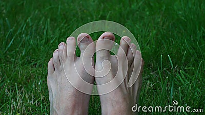 View of Bare Human Feet Playing with the Green Grass Stock Video ...