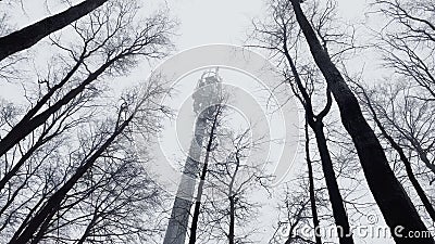View from Below on a Pole with Repeaters and Transmitters of Cellular ...