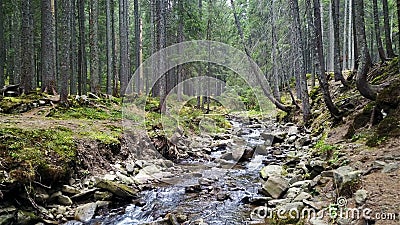 A View of a Mountain Stream that Flows Down a Slope of Stones Stock ...