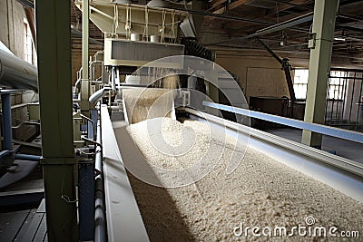 View Of The Papermaking Process, With Pulping, Beating, And Pressing In ...