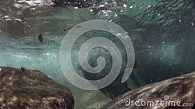 View Underwater of Strong Undercurrent of Mountain River Verzasca ...
