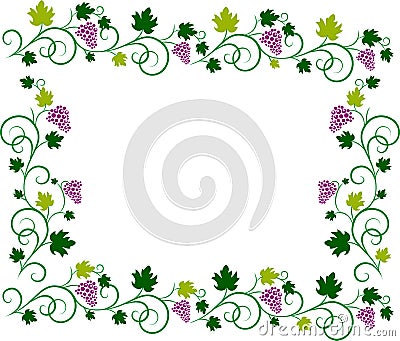 Vine Frame Stock Image - Image: 12442941