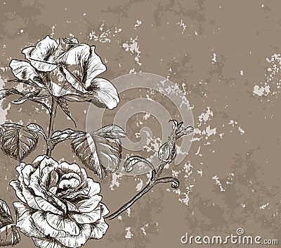 Vintage Floral Backgrounds With Roses Vector Illustration ...