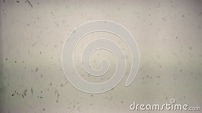 Vintage Old Film Camera Dust and Scratches on the Screen Stock Video ...