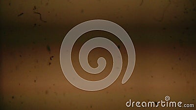 Vintage Old Film Camera Dust And Scratches On The Screen Stock Footage ...