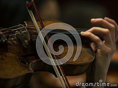 Violin In A Large Close-up - Side View - Background - Symphony ...