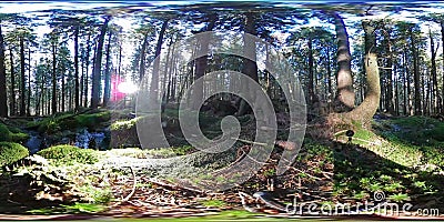 360 Virtual Reality Mountain Trail - Nature in Spherical View Stock ...