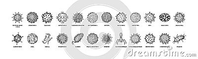 Viruses With Names Isolated On White Background. Different Types Of ...