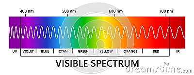 Electromagnetic Spectrum Diagram Stock Illustrations – 183 ...