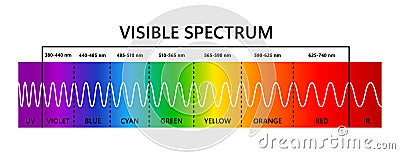 Visible Light Spectrum, Infared And Ultraviolet. Optical Light ...