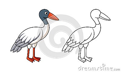 Vivid Jabiru Bird Design Cartoon Vector | CartoonDealer.com #370075229