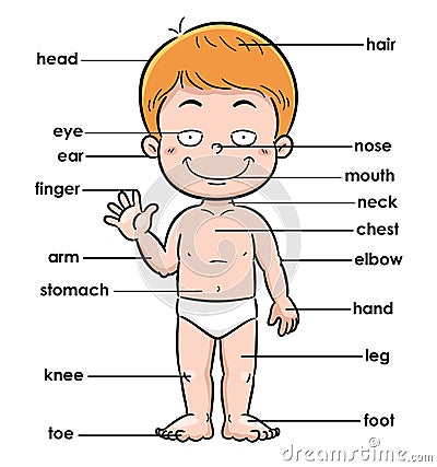 Vocabulary Part Stock Vector - Image: 52358835