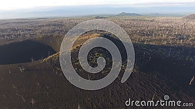 Volcano. Forest after a Volcanic Eruption. Burnt Forest. the Lava of ...